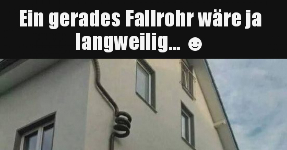 290 lustige Bilder Langweilig - Seite (17) - DEBESTE.de