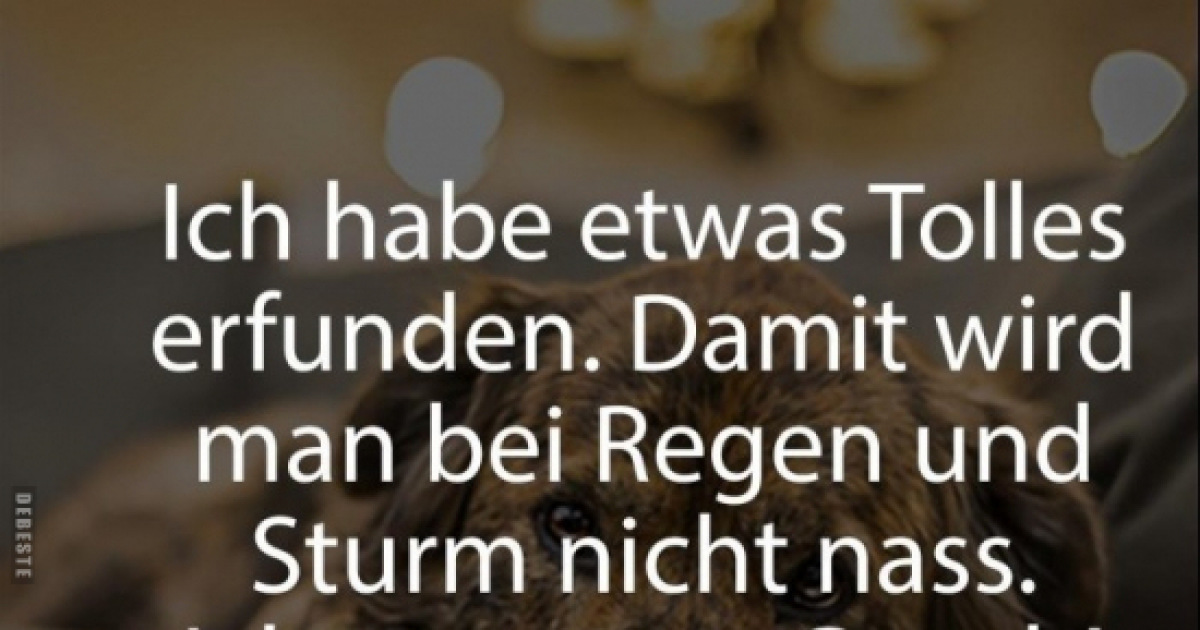 Neue Bilder und Memes - Regen Und Sturm - lustig, kostenlos - DEBESTE.de