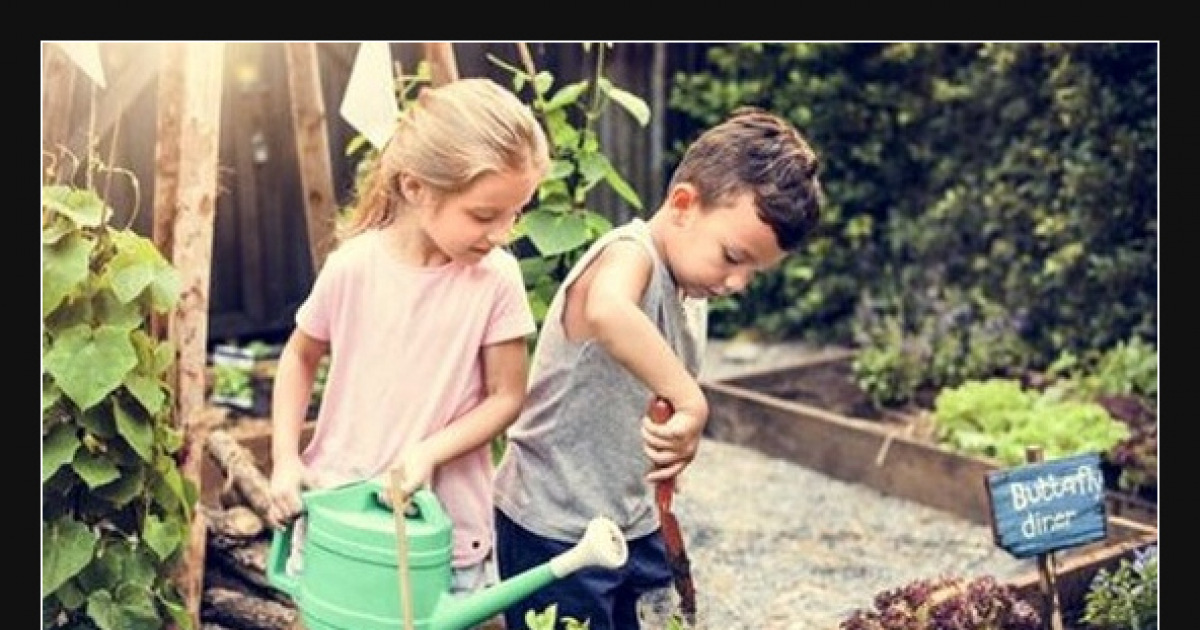 Neue Bilder und Memes - Mark - lustig, kostenlos - DEBESTE.de