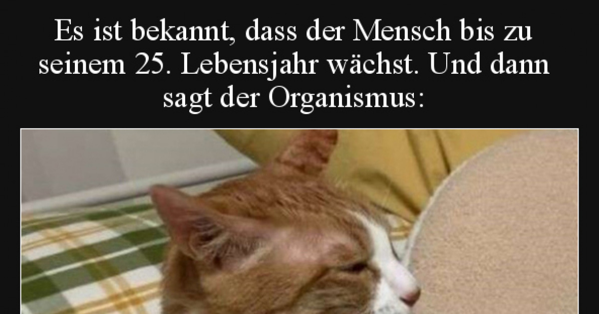 64860 lustige Bilder Ich - Seite (3021) - DEBESTE.de