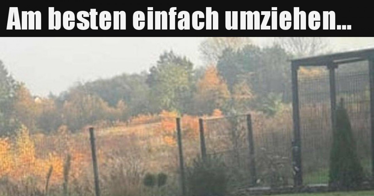 Neue Bilder und Memes - Umziehen - lustig, kostenlos - DEBESTE.de