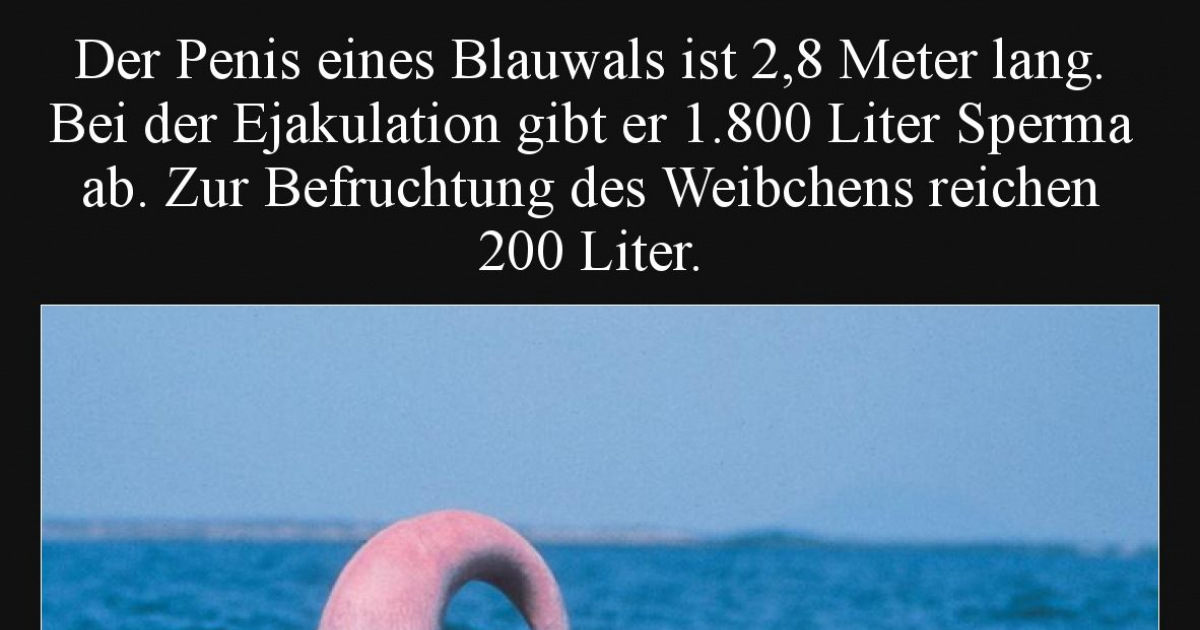 Neue Bilder und Memes - Wasser Trinken - lustig, kostenlos - DEBESTE.de