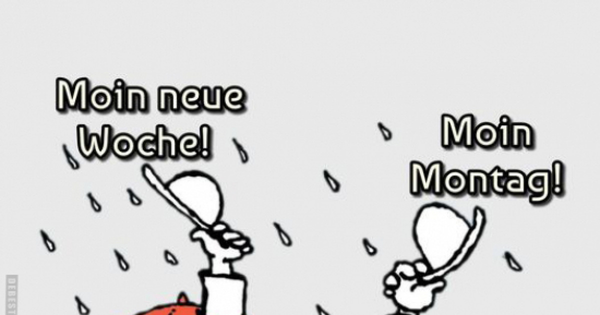 Neue Bilder und Memes - Moin Montag - lustig, kostenlos - DEBESTE.de