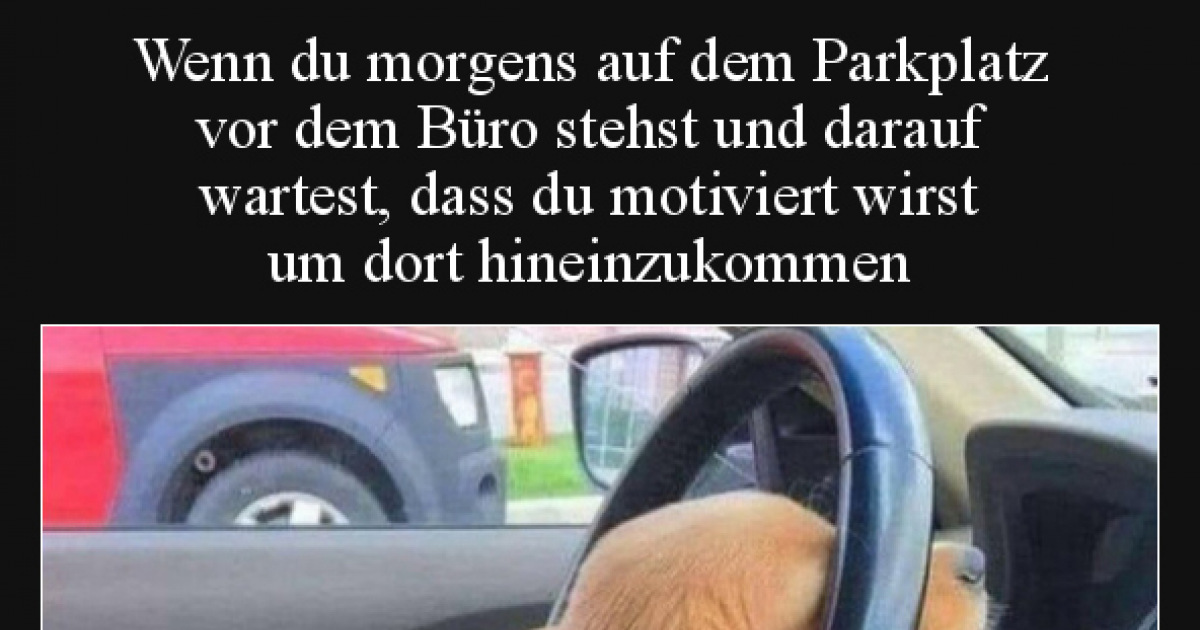 10 lustige Bilder H - Seite (8465) - DEBESTE.de