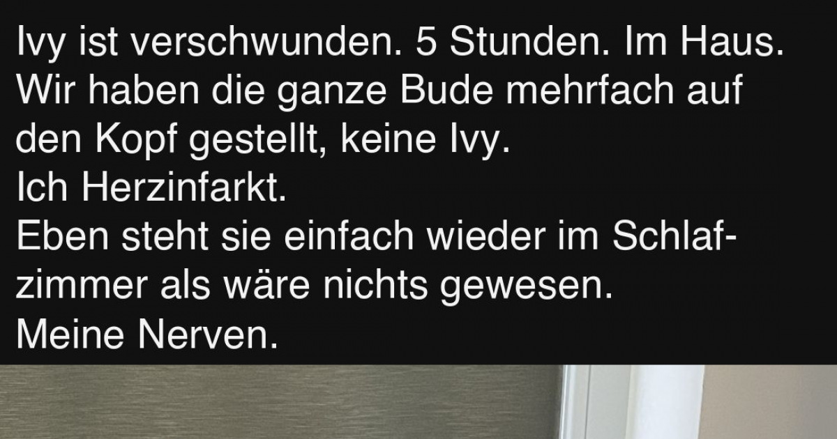 Neue Bilder und Memes - Meine Nerven - lustig, kostenlos - DEBESTE.de