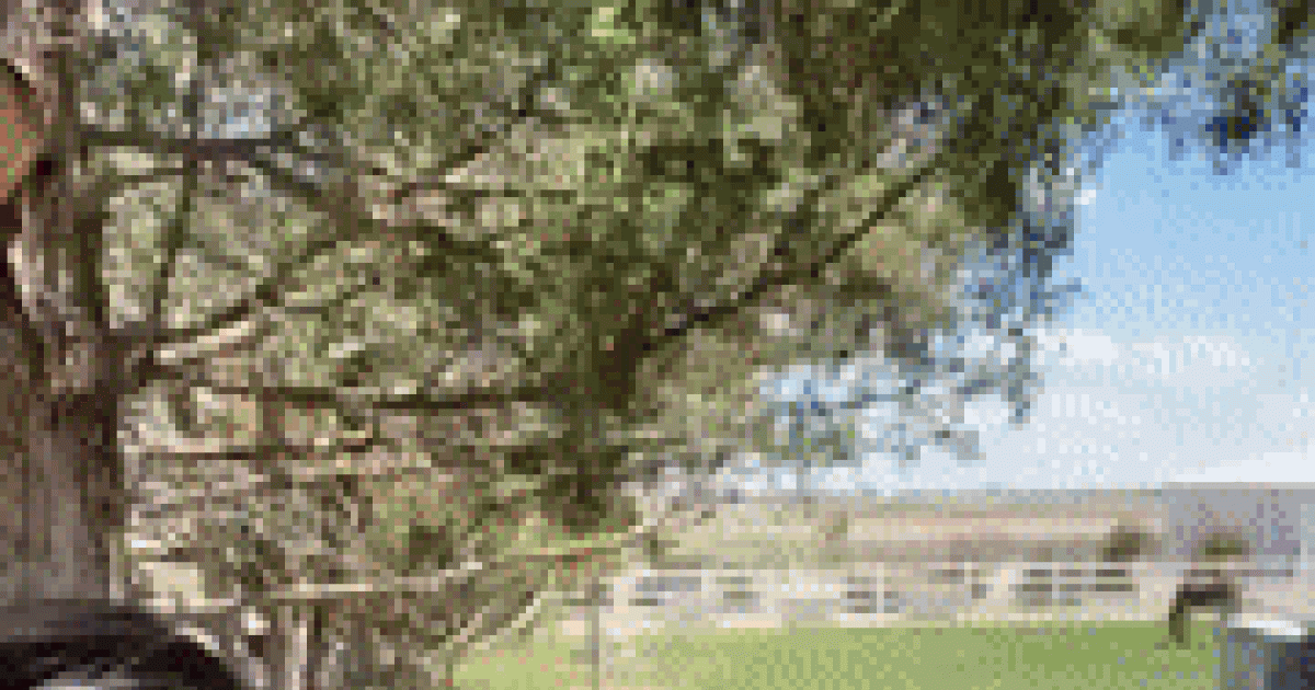 Neue Bilder und Memes - Esel Gifs - lustig, kostenlos - DEBESTE.de