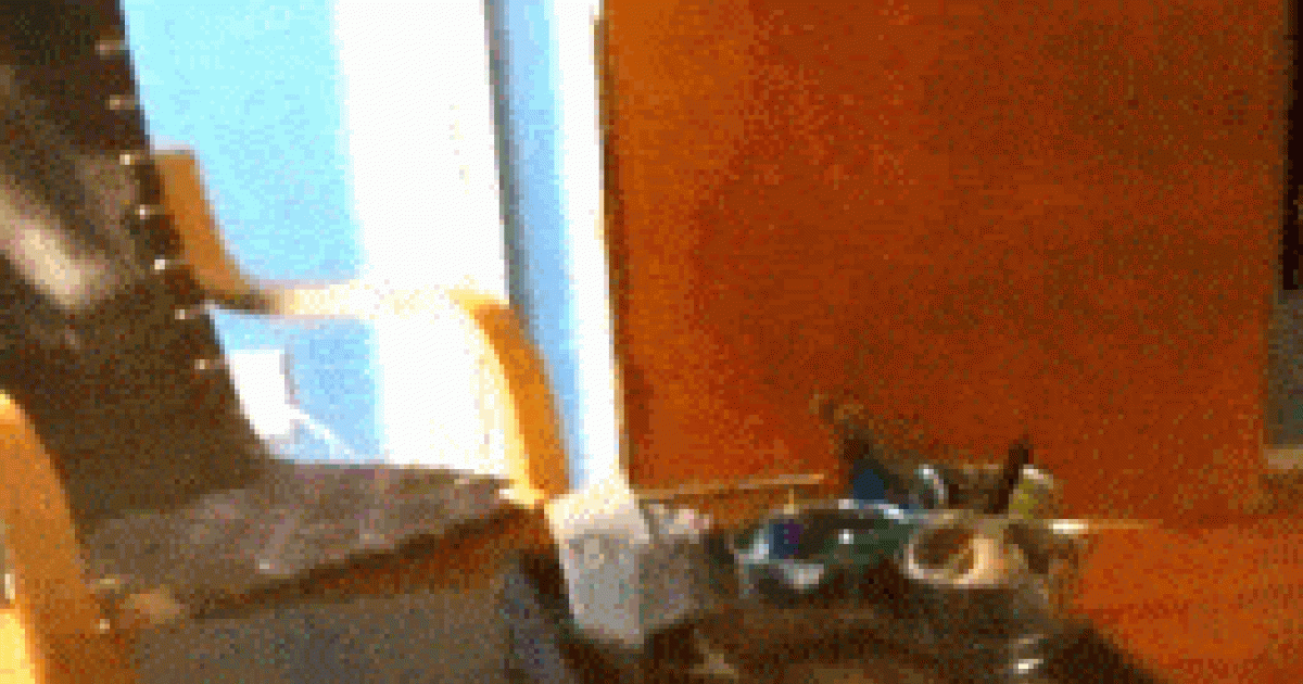 1680 lustige Bilder Gif - Seite (28) - DEBESTE.de