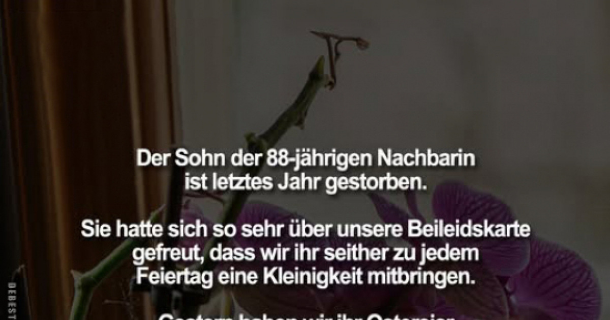 Neue Bilder und Memes - Feiertag - lustig, kostenlos - DEBESTE.de