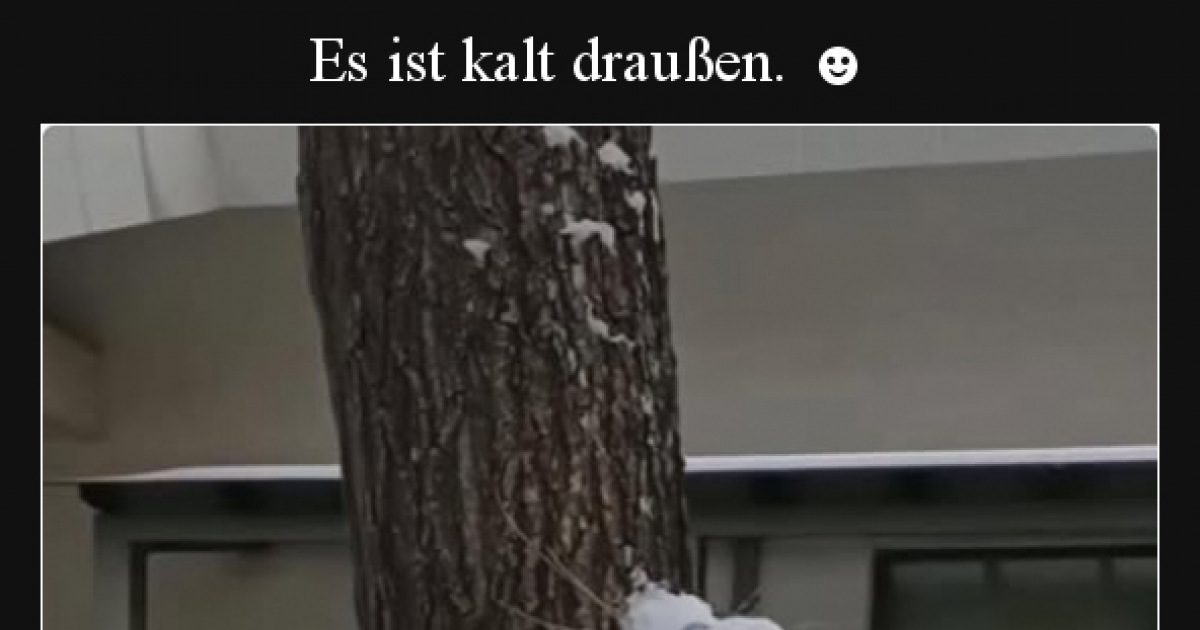 Neue Bilder und Memes - Kalt Draußen - lustig, kostenlos - DEBESTE.de