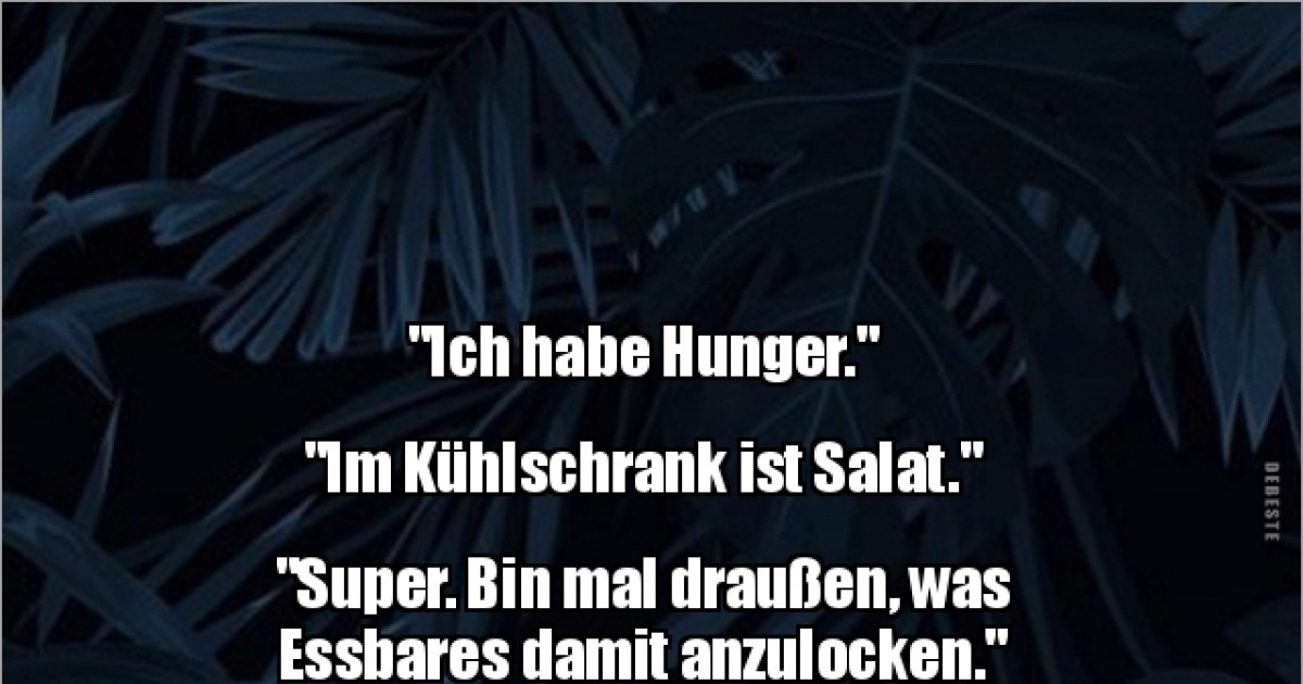 Neue Bilder und Memes - Ich Habe Hunger - lustig, kostenlos - DEBESTE.de