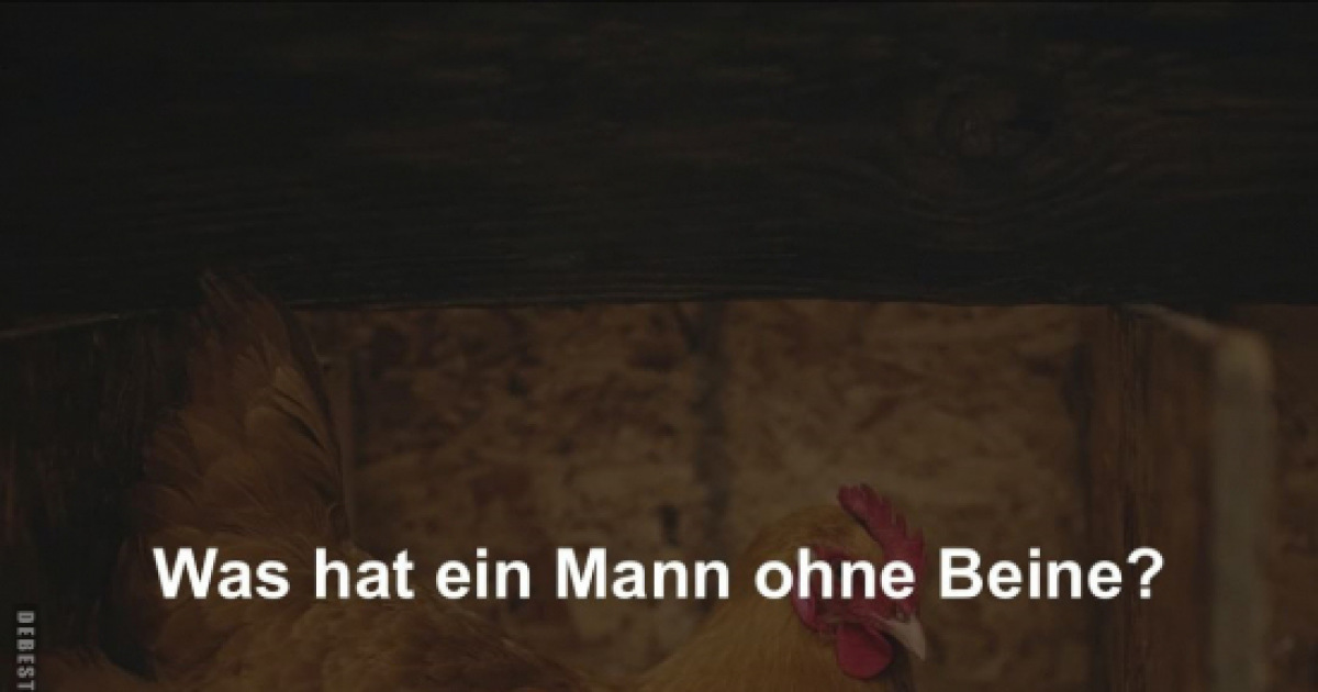 Neue Bilder und Memes - Eier Aus Bodenhaltung - lustig, kostenlos ...