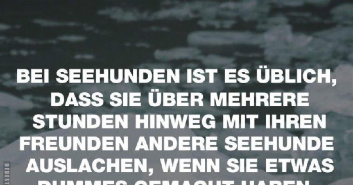 Neue Bilder und Memes - Auslachen - lustig, kostenlos - DEBESTE.de