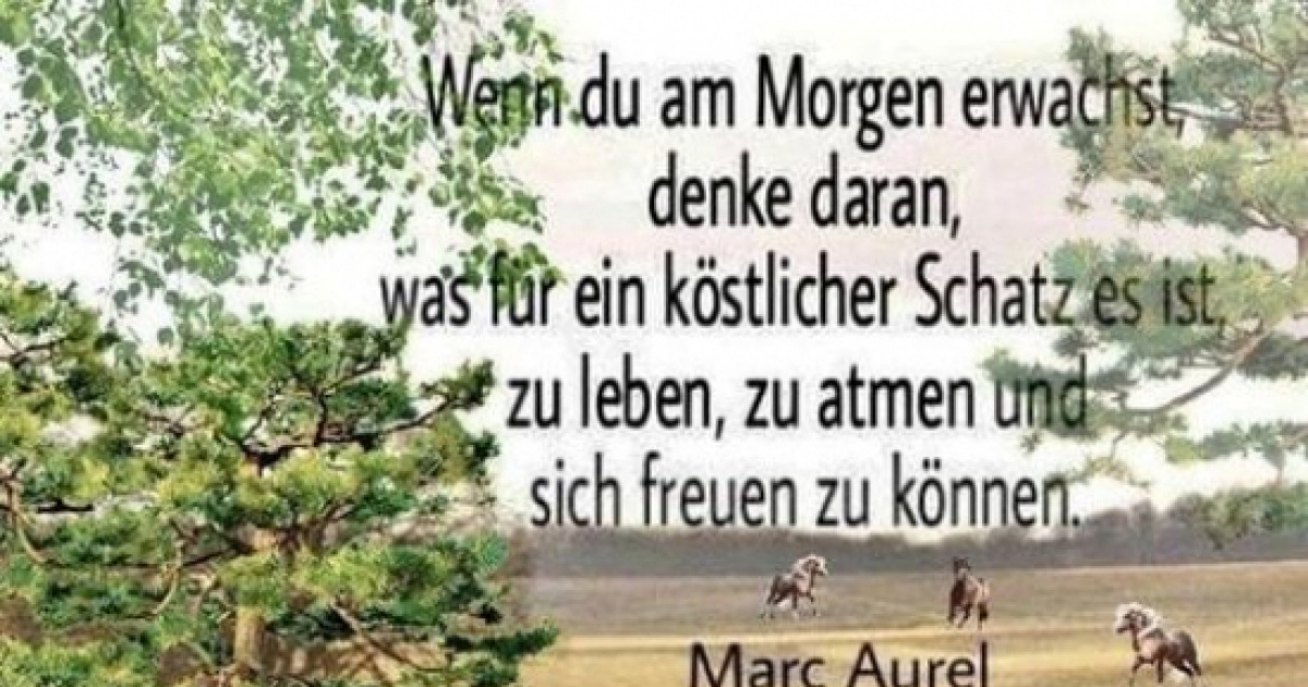 10 lustige Bilder Freuen - Seite (18) - DEBESTE.de