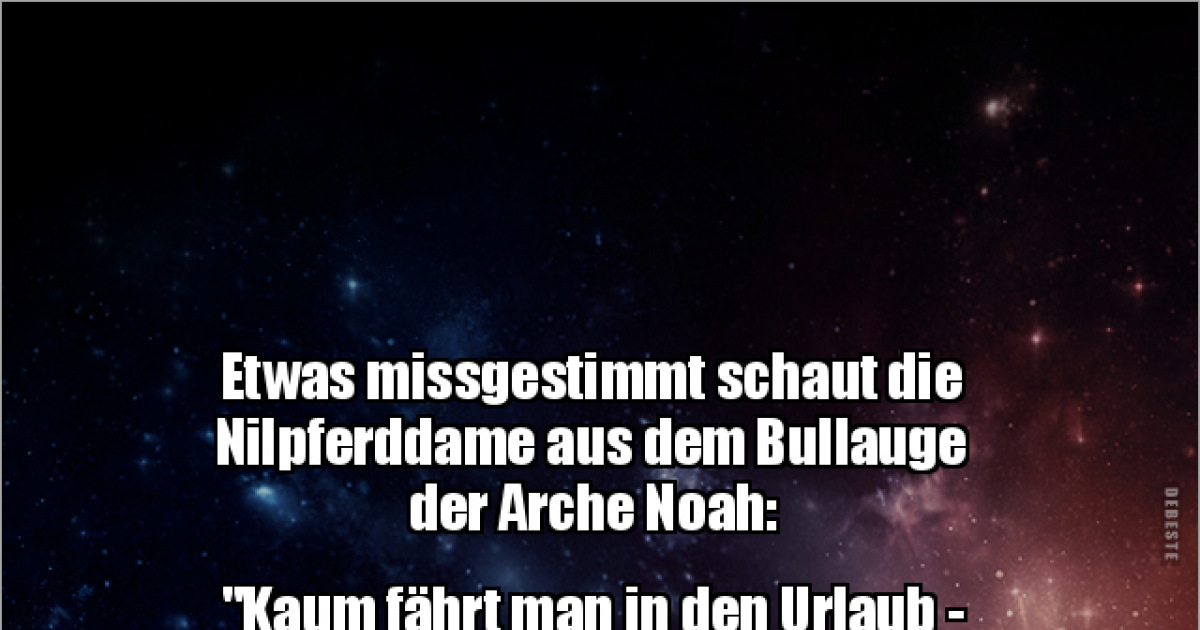 arche noah Witze und Sprüche - DEBESTE.de