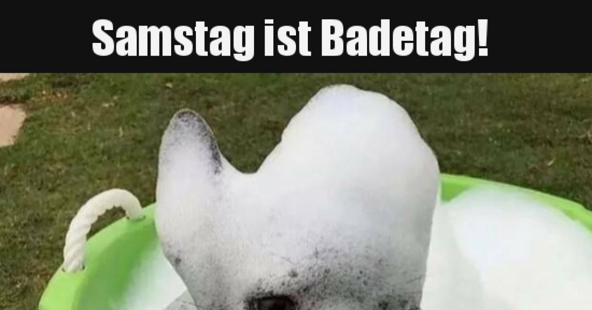 Neue Bilder und Memes - Samstag Ist Badetag - lustig, kostenlos ...
