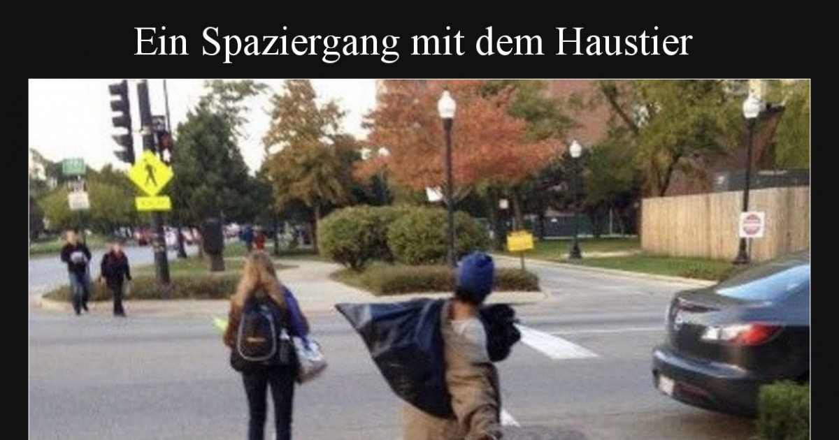 Neue Bilder und Memes - Haus - lustig, kostenlos - DEBESTE.de