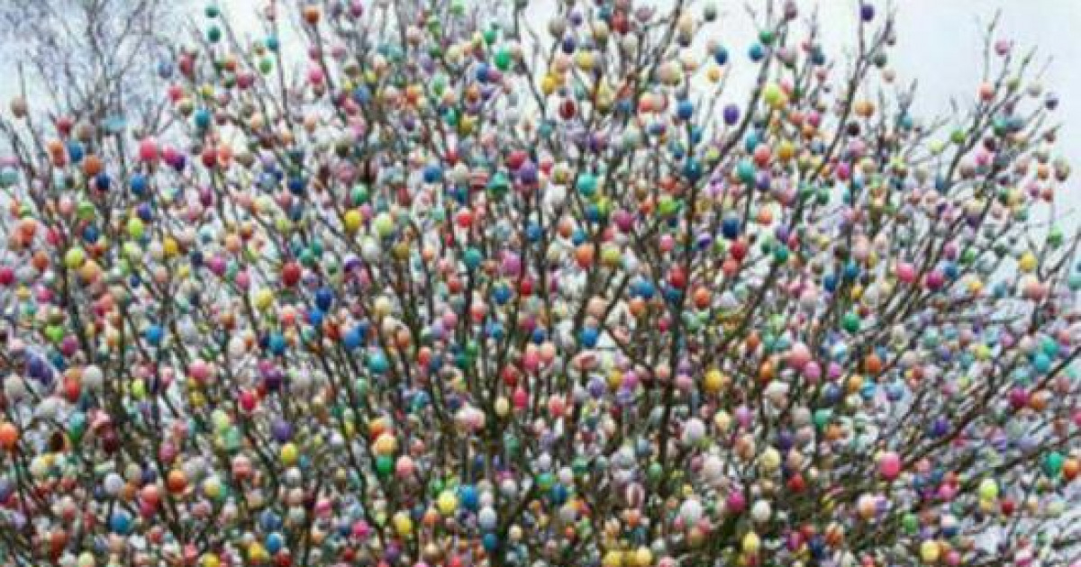 Neue Bilder und Memes - Eier Ostern - lustig, kostenlos - DEBESTE.de