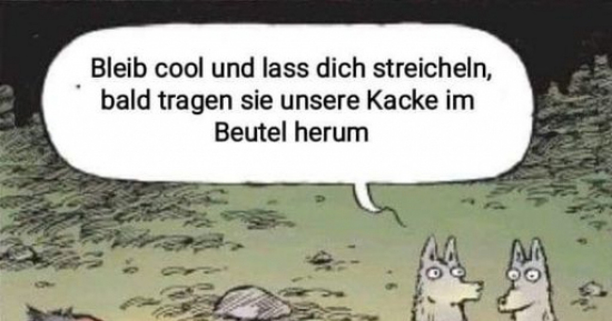 1100 lustige Bilder COOL - Seite (90) - DEBESTE.de