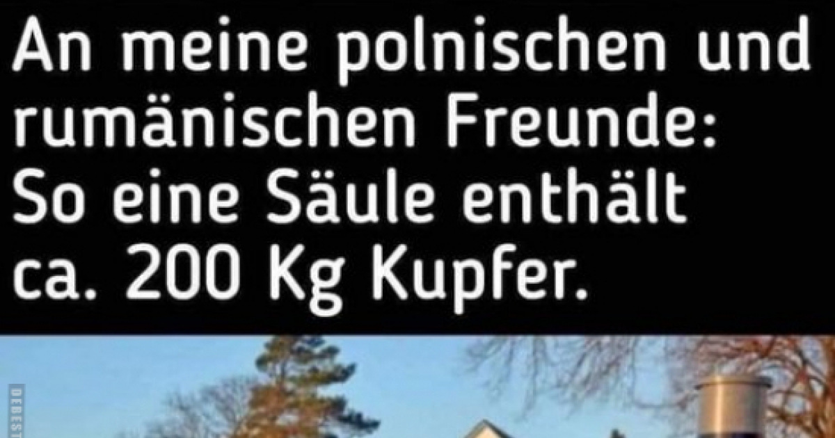 Neue Bilder und Memes - Polnische - lustig, kostenlos - DEBESTE.de