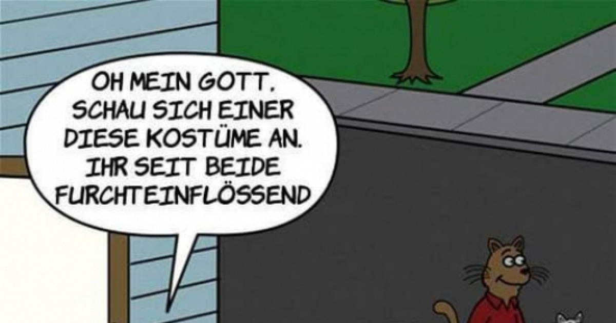 Neue Bilder und Memes - Oh Mein Gott - lustig, kostenlos - DEBESTE.de