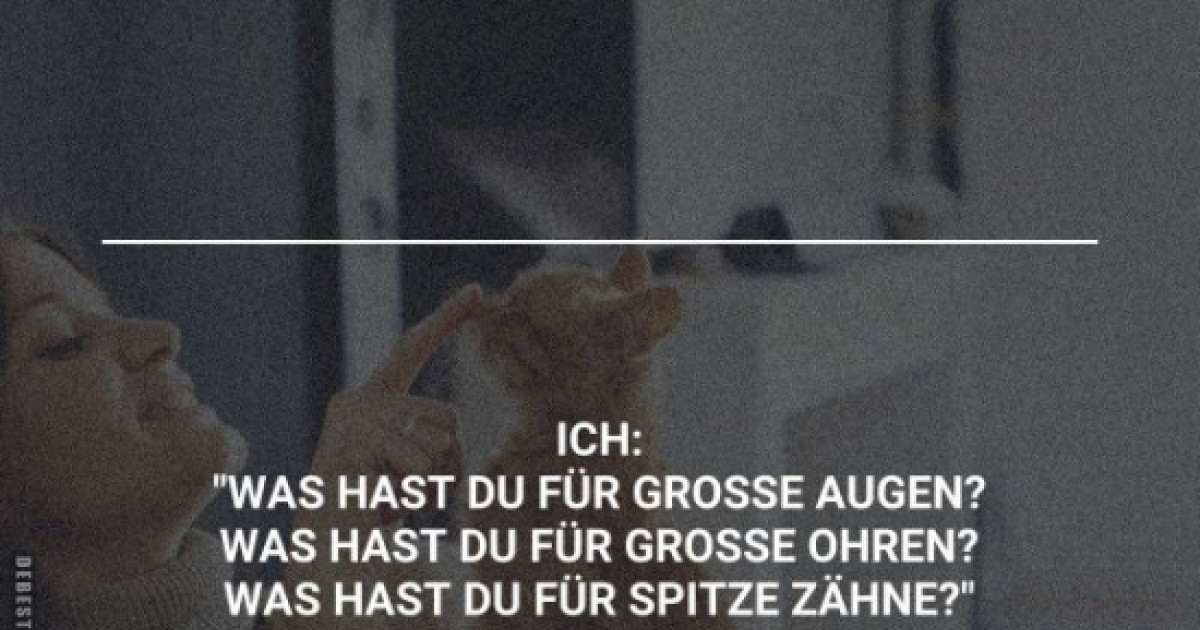 Neue Bilder und Memes - Spitze - lustig, kostenlos - DEBESTE.de