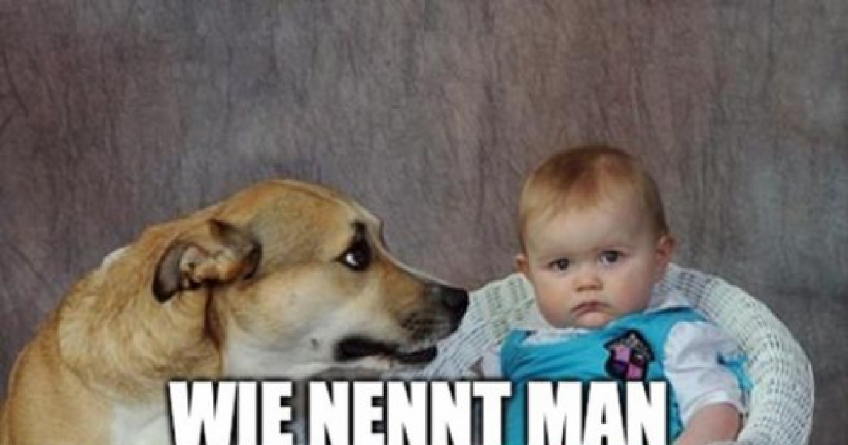 80 lustige Bilder Hupe - Seite (8) - DEBESTE.de