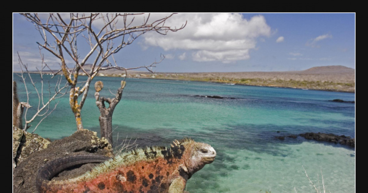 Neue Bilder und Memes - Insel - lustig, kostenlos - DEBESTE.de