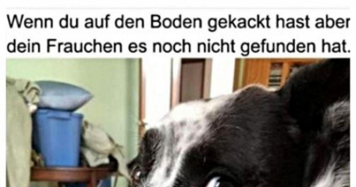 10 lustige Bilder Wenn Du - Seite (965) - DEBESTE.de