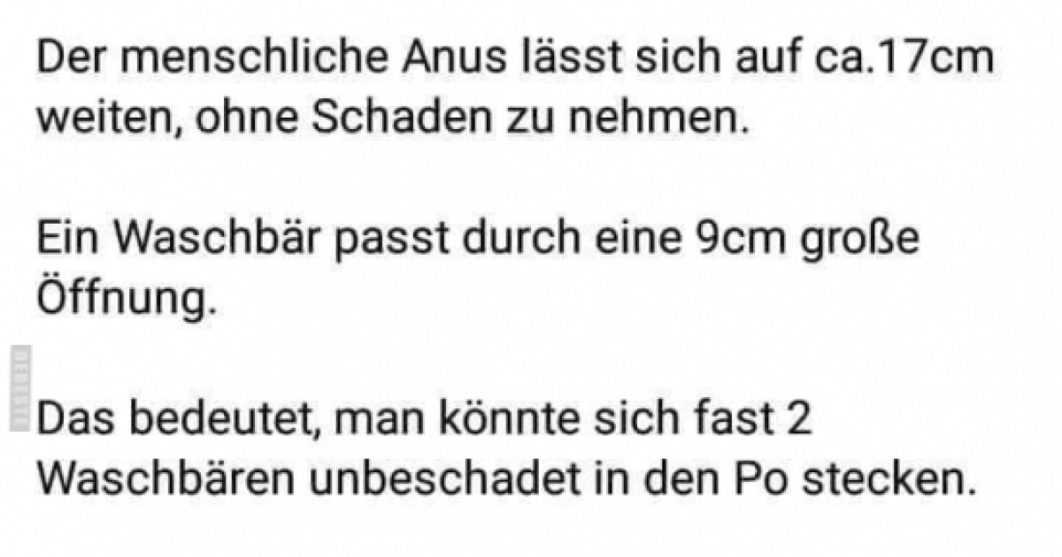 Neue Bilder und Memes - Waschbär - lustig, kostenlos - DEBESTE.de