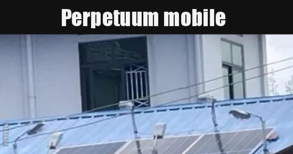 Neue Bilder und Memes - Perpetuum Mobile - lustig, kostenlos - DEBESTE.de