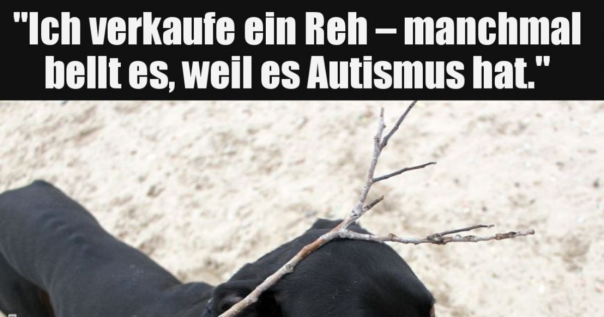 Neue Bilder und Memes - Ein Reh - lustig, kostenlos - DEBESTE.de