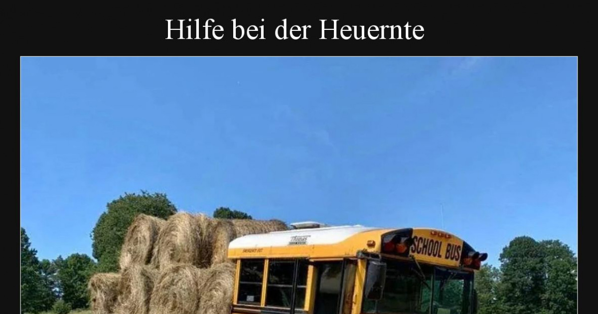 Neue Bilder und Memes - Hilfe - lustig, kostenlos - DEBESTE.de