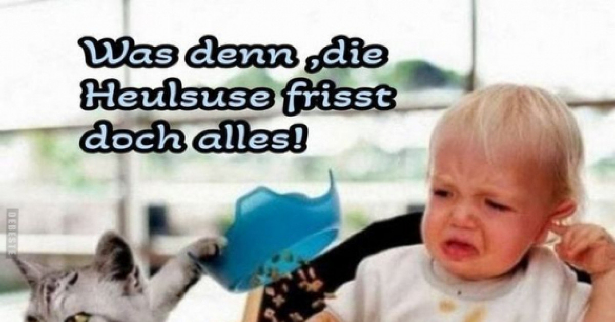 Neue Bilder und Memes - Heulsuse - lustig, kostenlos - DEBESTE.de