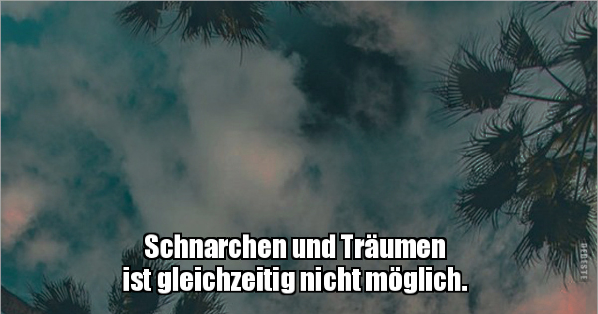 20 lustige Bilder Schnarchen - Seite (2) - DEBESTE.de