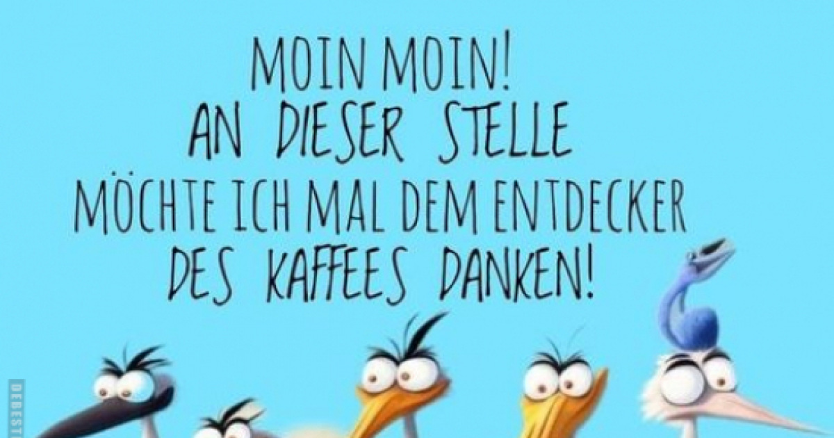Neue Bilder und Memes - Moin Moin - lustig, kostenlos - DEBESTE.de