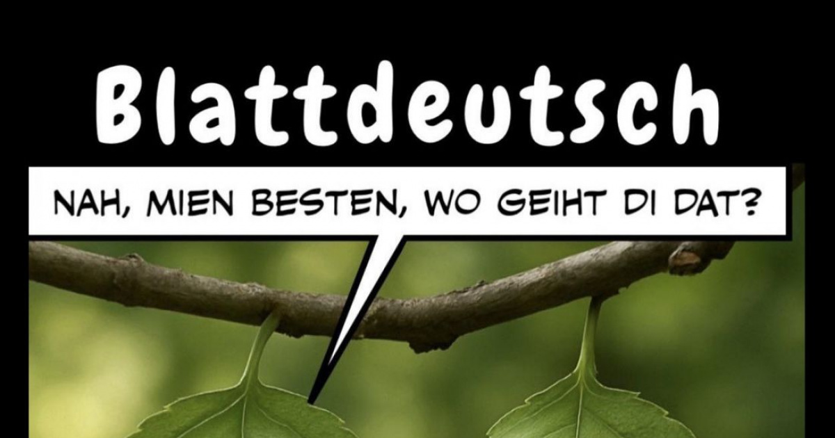Neue Bilder und Memes - Watt - lustig, kostenlos - DEBESTE.de
