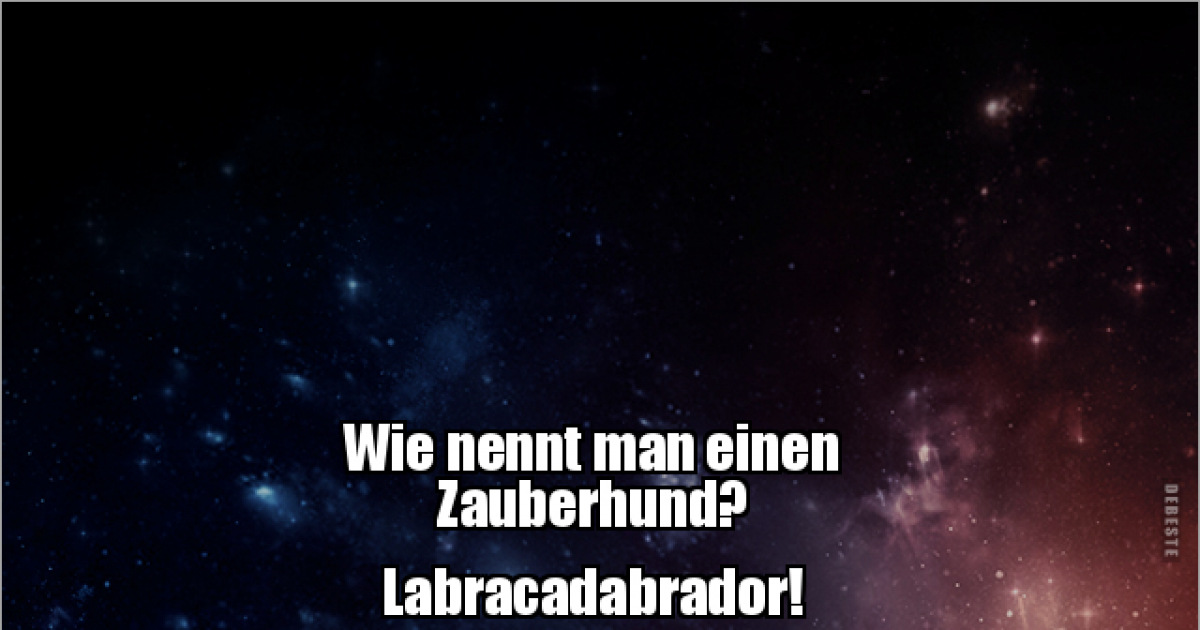 labracadabrador Witze und Sprüche - DEBESTE.de