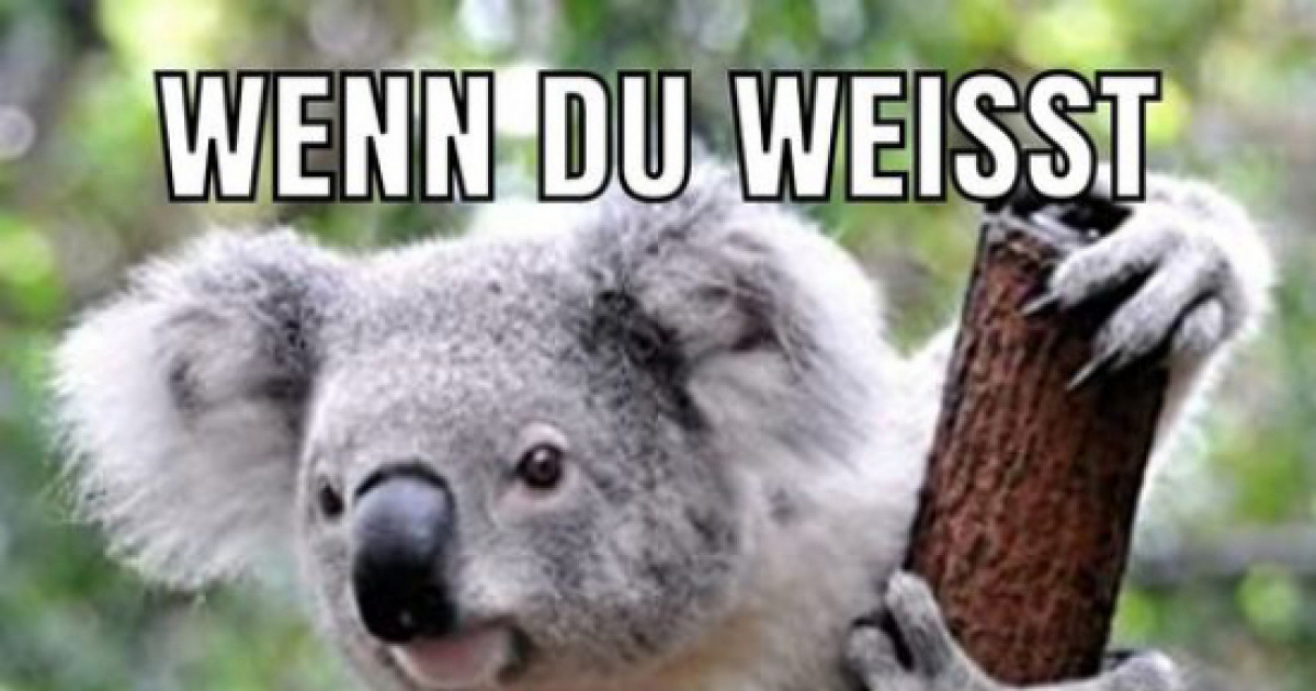 10 lustige Bilder Wenn Du - Seite (941) - DEBESTE.de