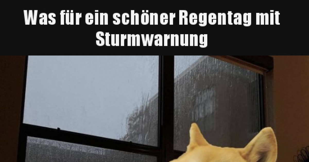 Neue Bilder und Memes - Sturmwarnung - lustig, kostenlos - DEBESTE.de