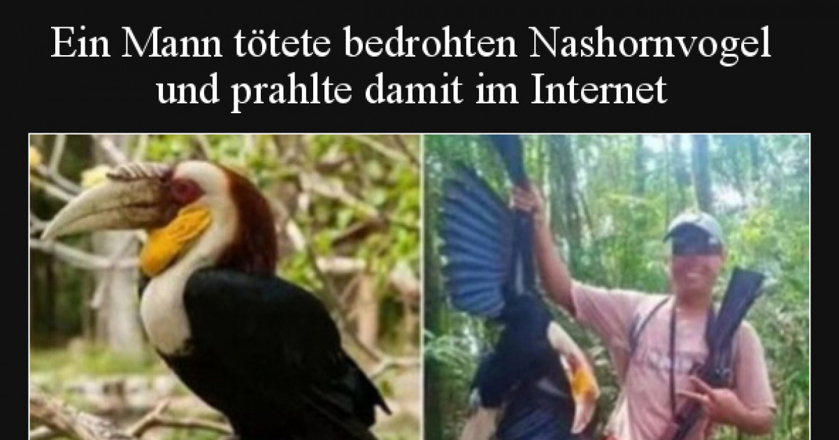 4780 lustige Bilder Mann - Seite (248) - DEBESTE.de