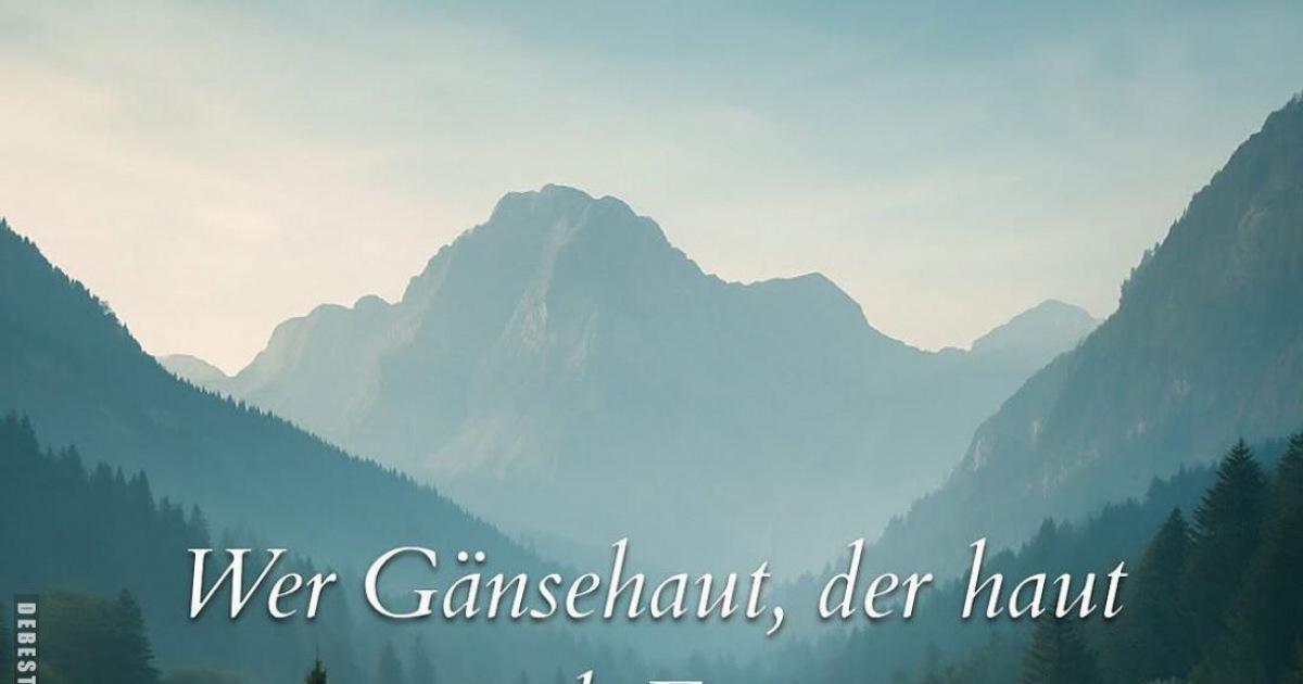 Neue Bilder und Memes - Enten - lustig, kostenlos - DEBESTE.de