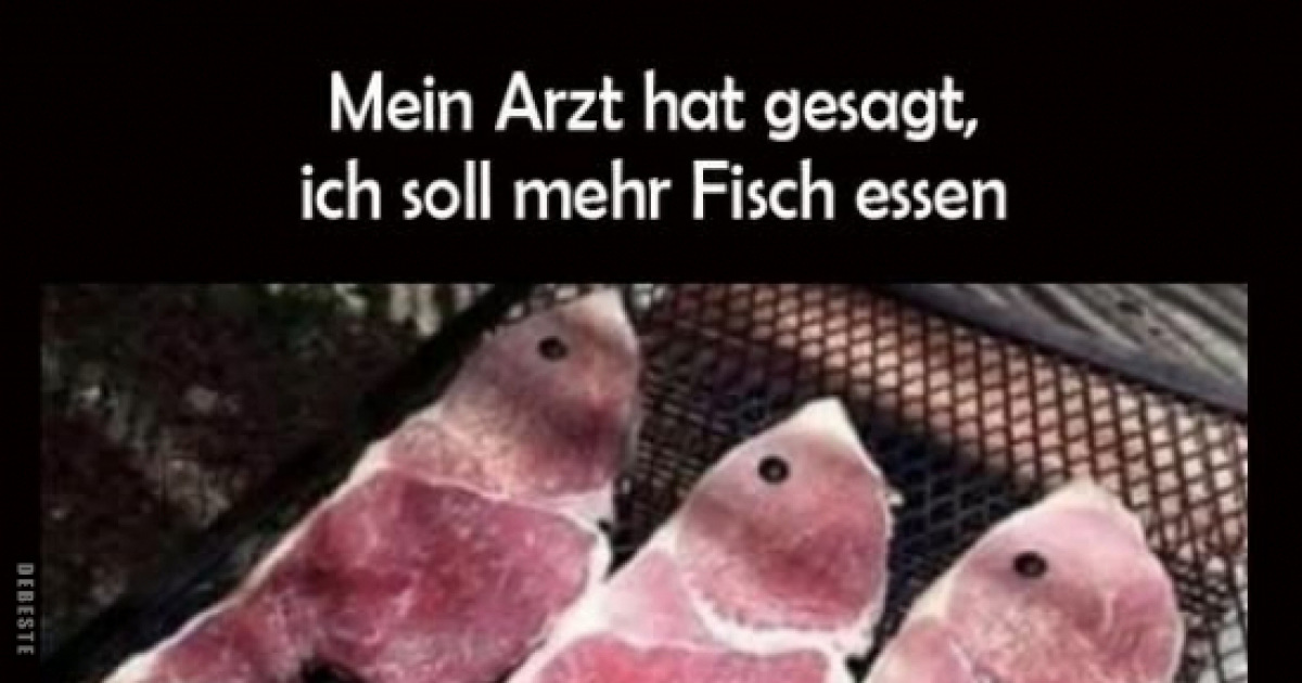 Neue Bilder und Memes - Fisch Essen - lustig, kostenlos - DEBESTE.de