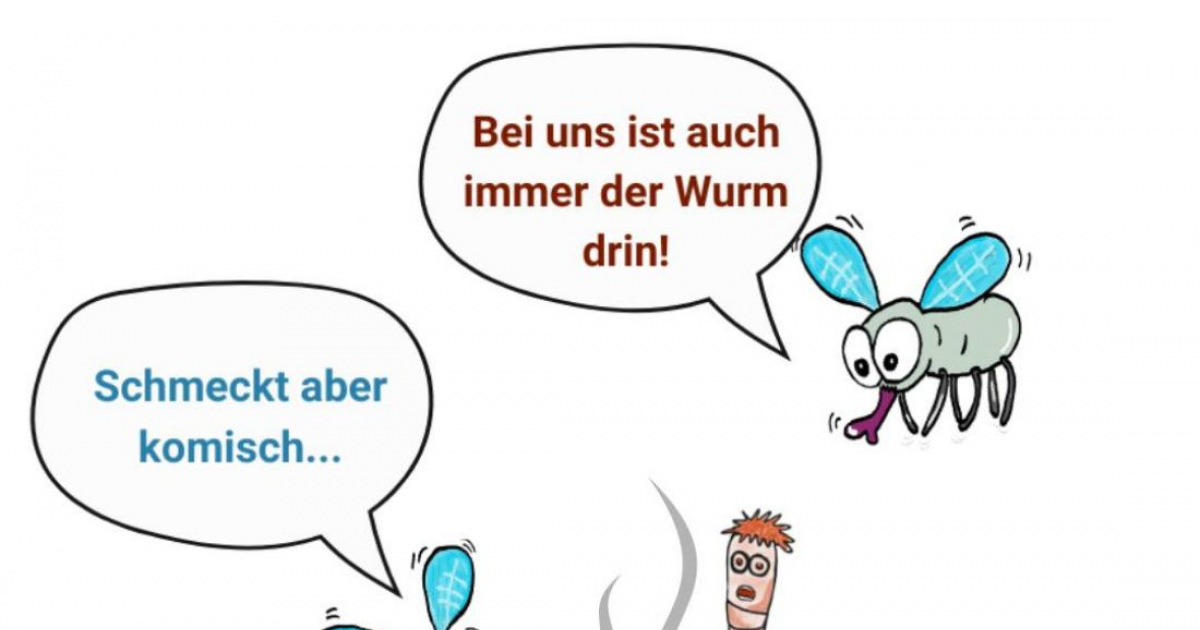 Neue Bilder und Memes - Wurm - lustig, kostenlos - DEBESTE.de