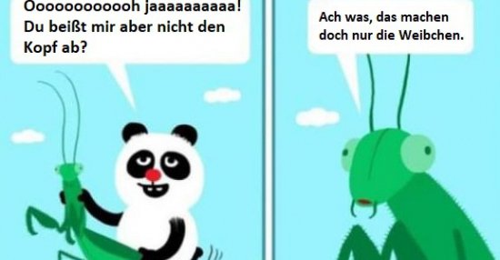 Oooooooooooh jaaaaaaaaaa! | Lustige Bilder, Sprüche, Witze, echt lustig