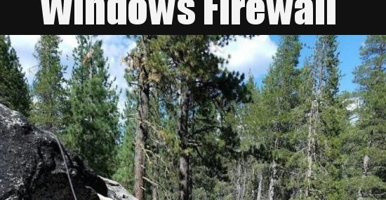 Windows Firewall.. | Lustige Bilder, Sprüche, Witze, echt lustig