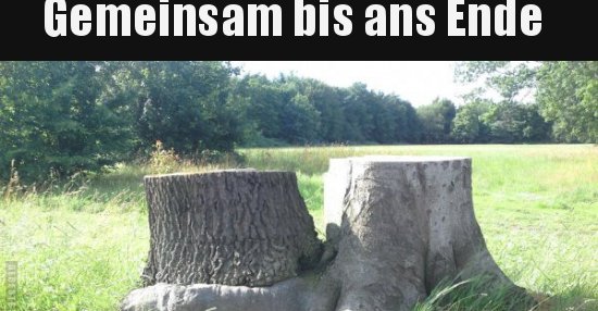 Gemeinsam bis ans Ende.. | Lustige Bilder, Sprüche, Witze, echt lustig
