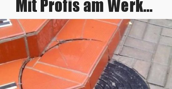 Mit Profis am Werk... | Lustige Bilder, Sprüche, Witze, echt lustig