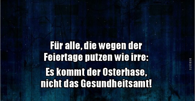 Für alle‚ die wegen der Feiertage putzen wie irre: Es.. | Lustige ...