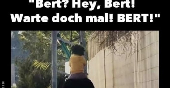 Bert? Hey, Bert! Warte doch mal! BERT! - DEBESTE.de
