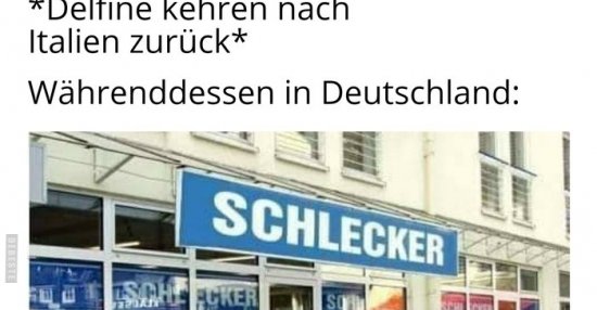 *Delfine kehren nach Italien zurück*... | Lustige Bilder, Sprüche ...